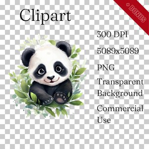 Watercolor Baby Panda Cliparts Bundle, 37 PNG, Watercolor Panda, Panda ...