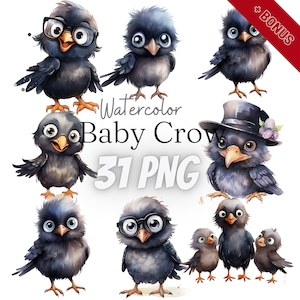 Watercolor Baby Crow Cliparts Bundle, PNG, 31 Illustrations, 300 Dpi ...