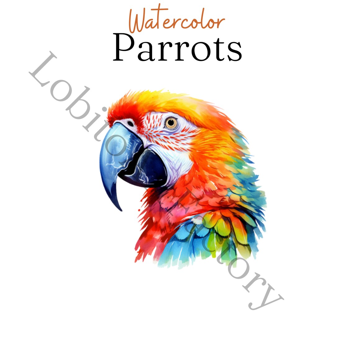 Watercolor Parrot Cliparts Bundle, PNG, 63 Illustrations, Colorful ...