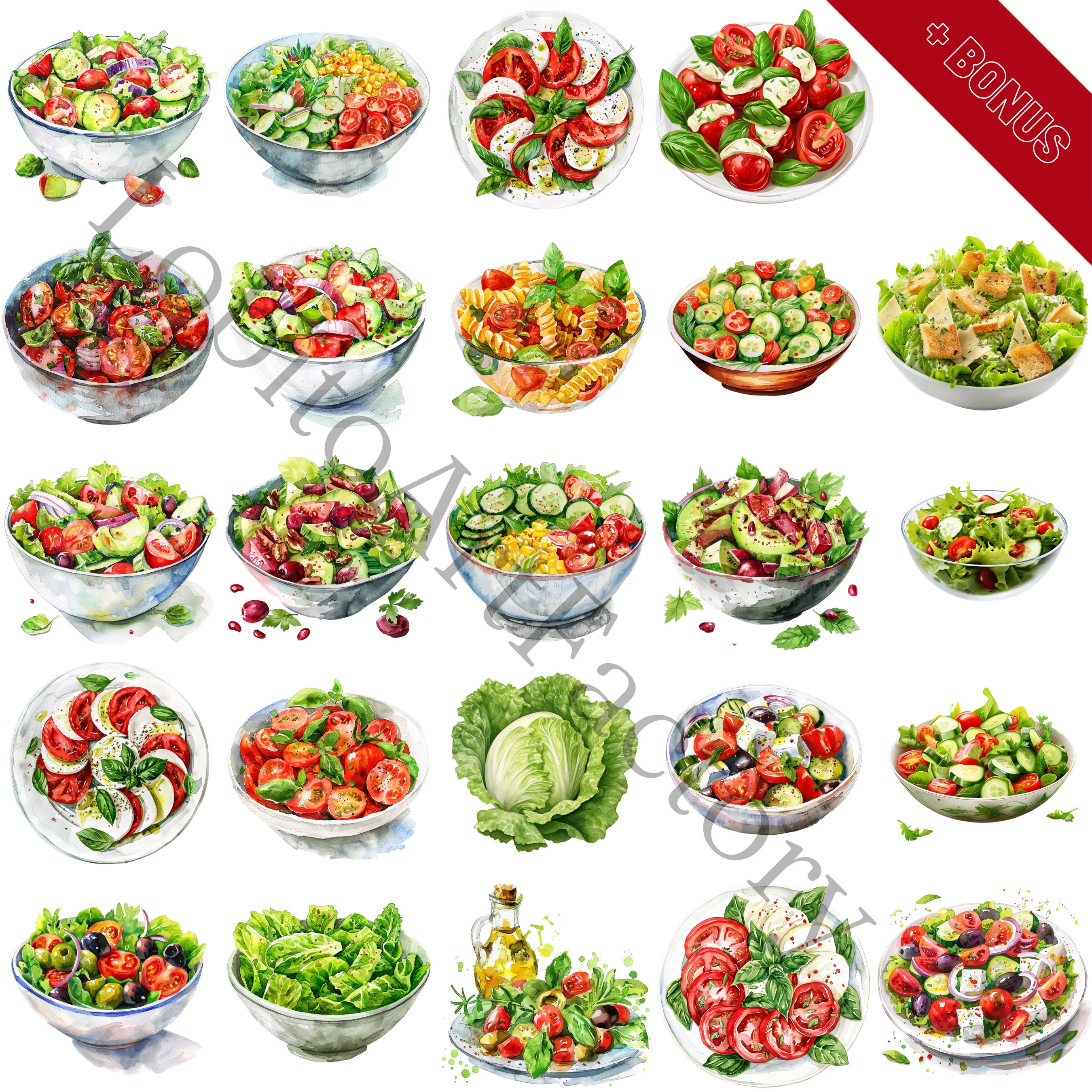 Watercolor Herb Salad Bundle, 58 PNG, Caesar Salad, Caprese, Chicken ...