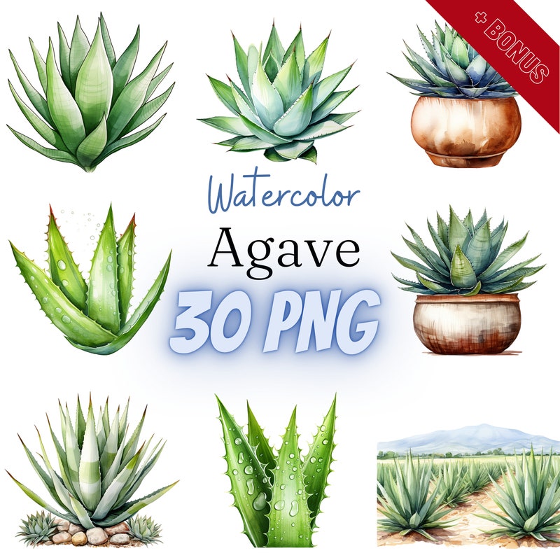 Agave Plant Watercolor - Etsy