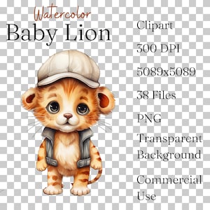 Watercolor Baby Lion Cliparts Bundle, PNG, 38 Illustrations, Little ...