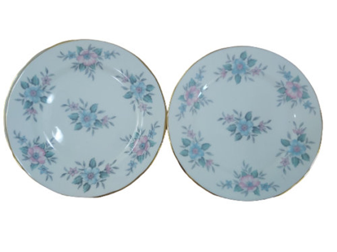 Colclough Bone China 2 X Side Plates 16cm - Etsy