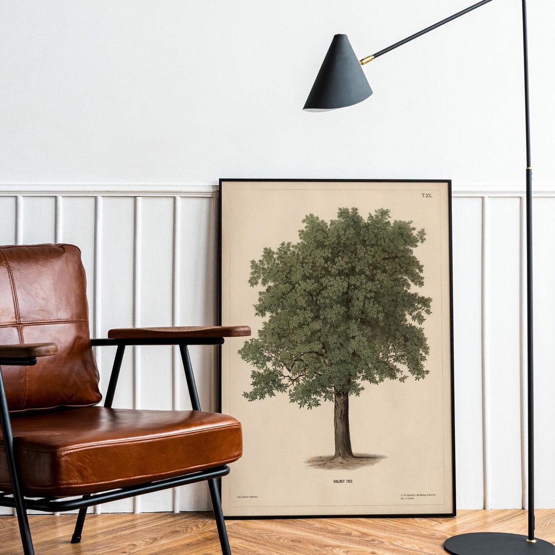 Walnut Tree Restored Poster, Illustration Printable 1800s Wallart ...