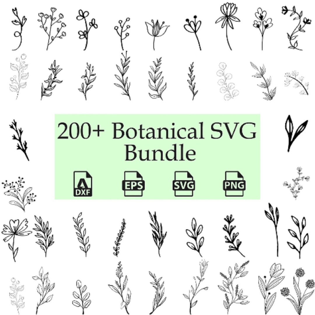 200 Botanical Svg Bundle Floral Svg Flower Svg Botanical - Etsy
