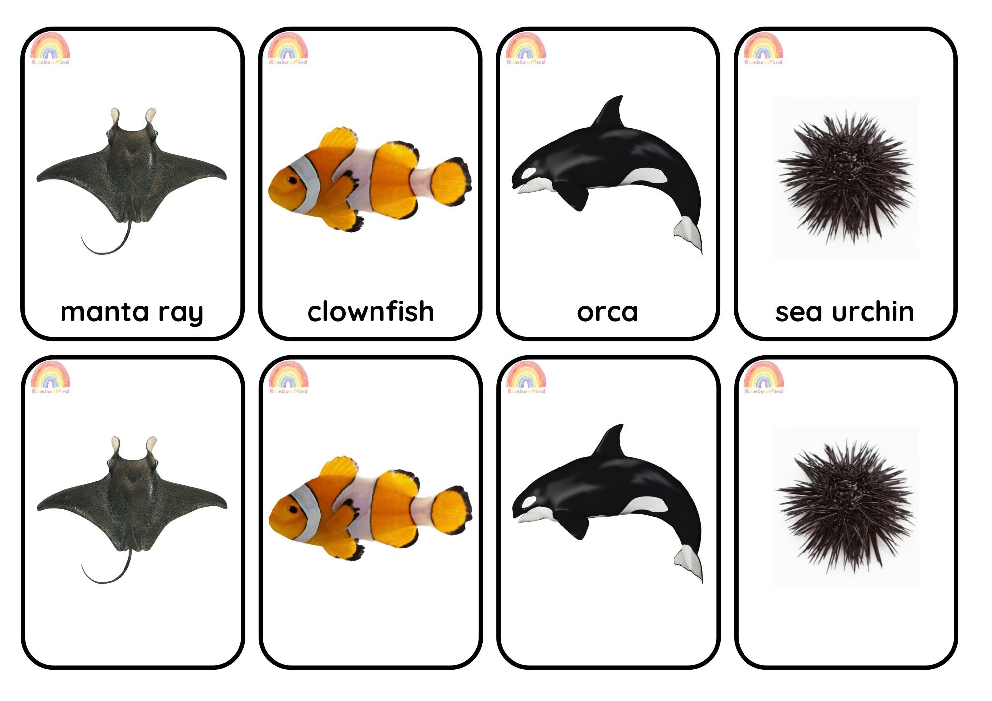 Sea Animals Flashcards - Dive Into Learning With Water Animals! - Etsy