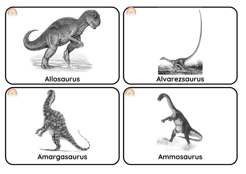 Dinoflash - Dinosaur Flashcards - Etsy