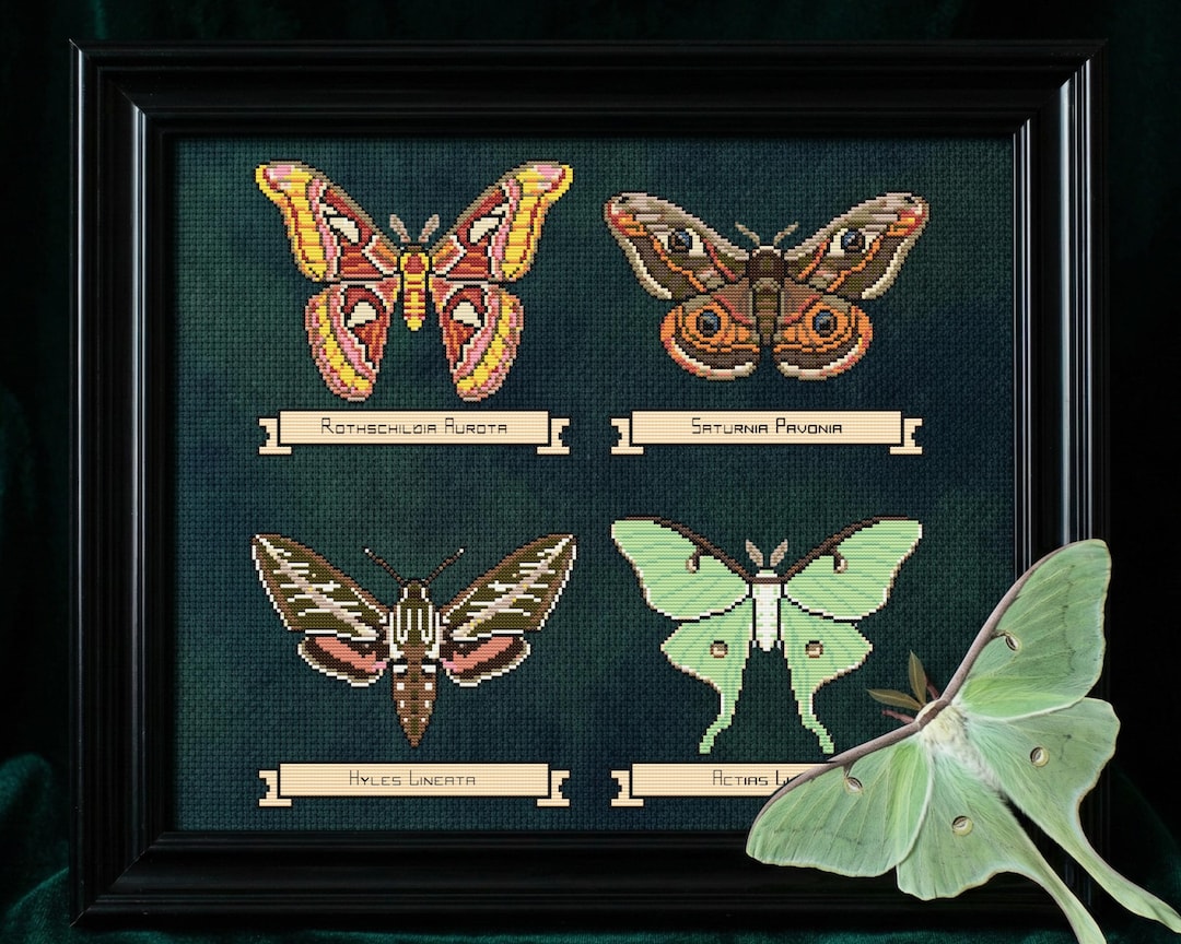 2. Moth Cross Stitch Pattern Collection Witchy Gift for Halloween ...