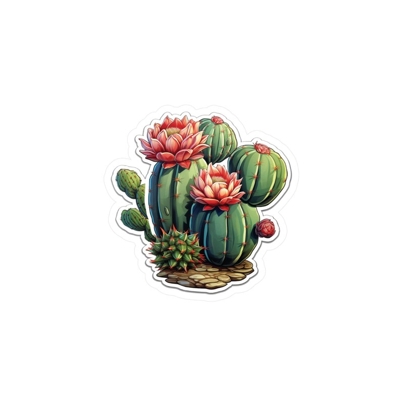 Cactus Decal - Etsy