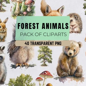 Forest Animals Watercolor Clipart, Clipart for Commercial Use ...