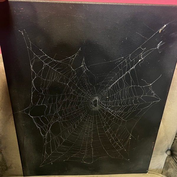 Real Spider Web Art - Etsy