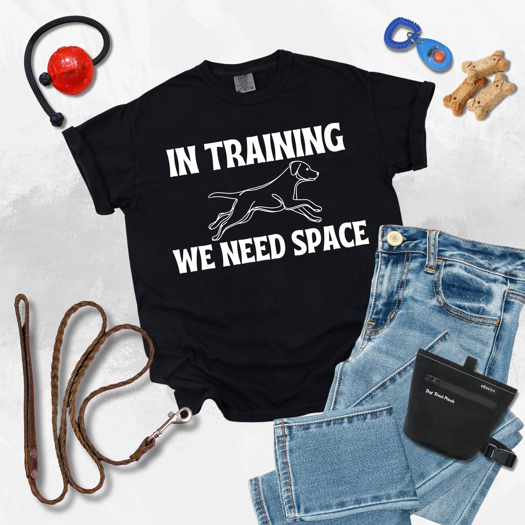 In Training We Need Space Dog Trainer Reactive Dog Comfort Colors ...