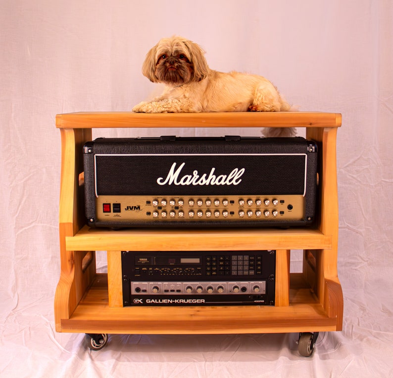 Amp Cart and 4 Space Rack - Etsy