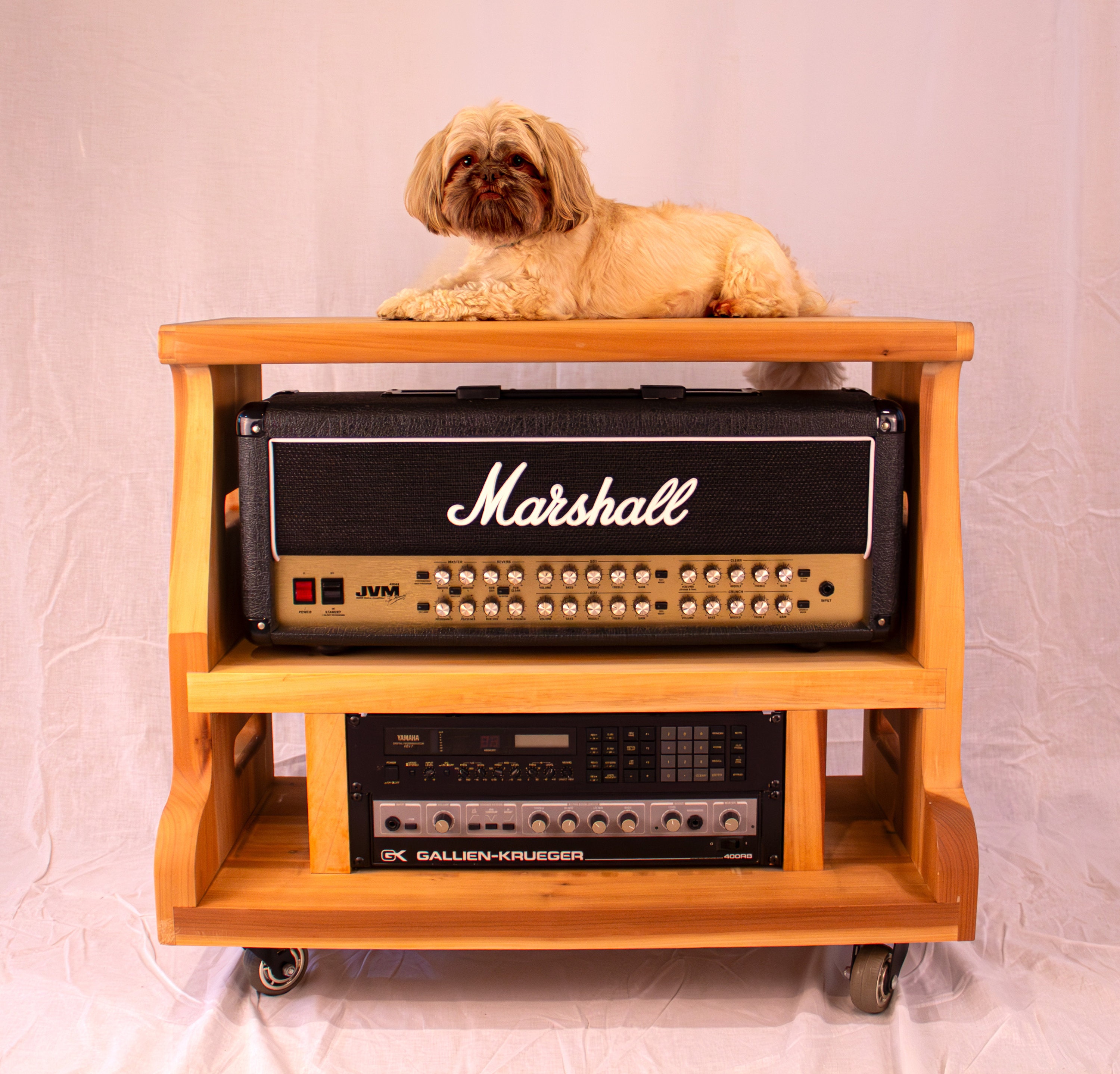 Amp Cart and 4 Space Rack - Etsy