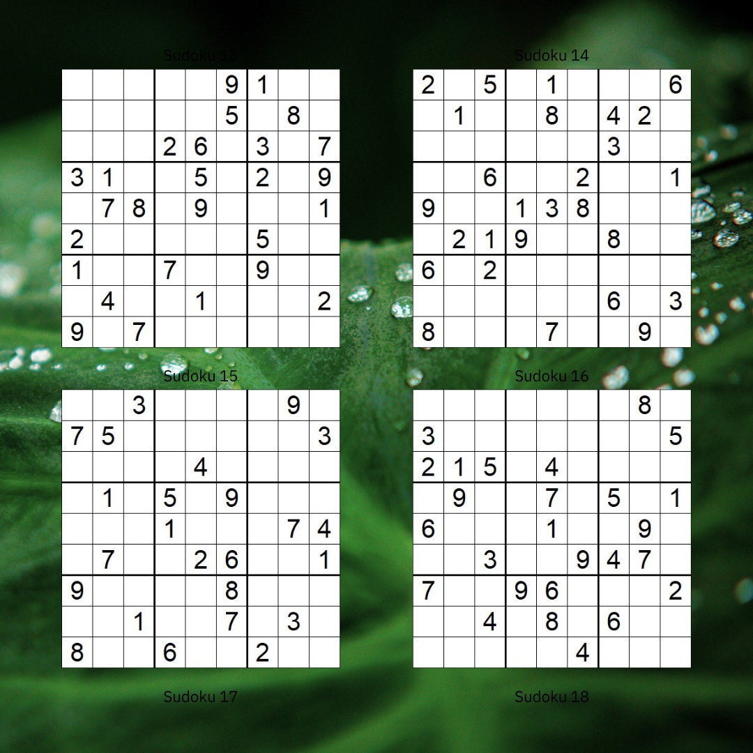 Sudoku Printable Sudoku for Kids Sudoku Books Sudoku Game Kdp Sudoku ...
