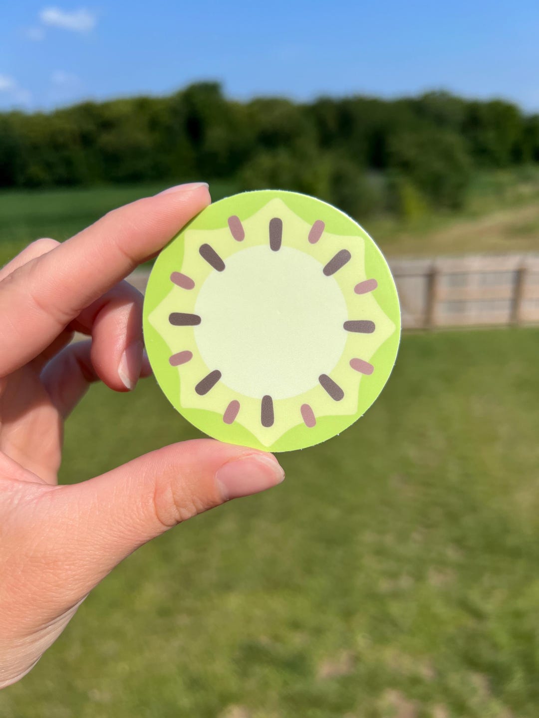 Bluey Inspired Sticker | Kiwi Rug | Bluey Gift | Sticker for Laptops ...