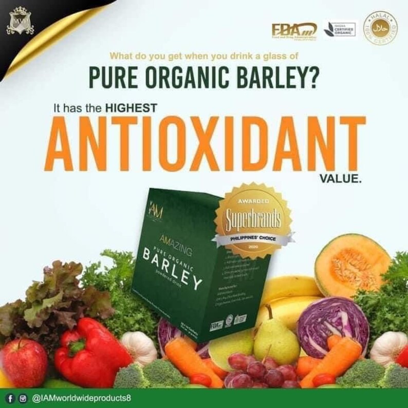 PURE Sealed BARLEY POWDER 20 Sachets - Etsy