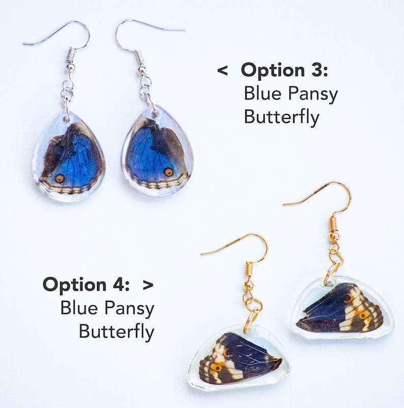 REAL Blue Butterfly Wing Earrings, Blue Morpho Butterfly, Insect ...