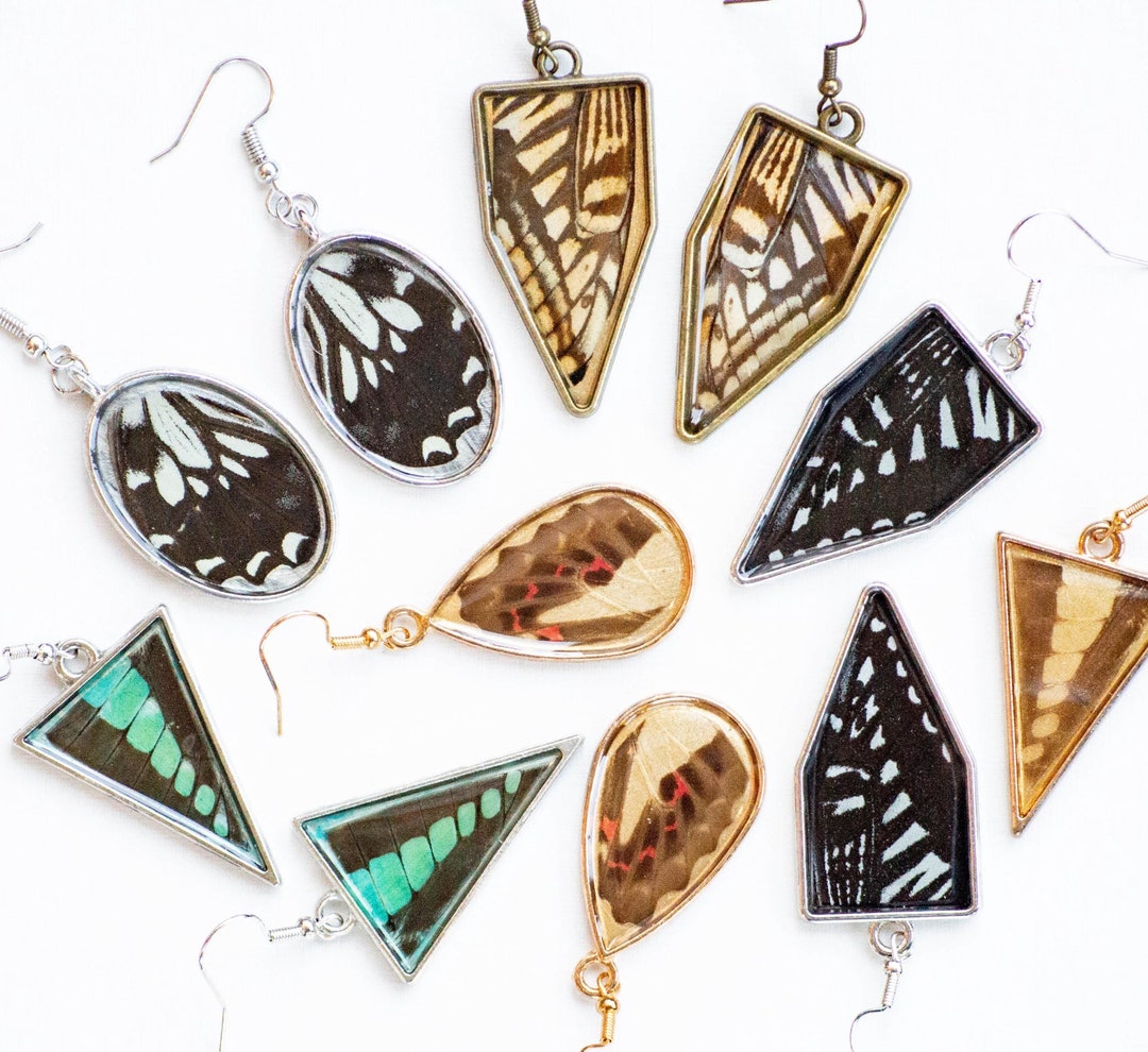 REAL Swallowtail, Bluebottle, Jay Butterfly Wing Earrings, Insect ...