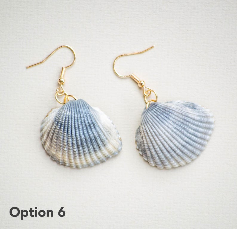 REAL Seashell Earrings, Beach, Ocean, Seashell Jewelry, Shell Earrings ...