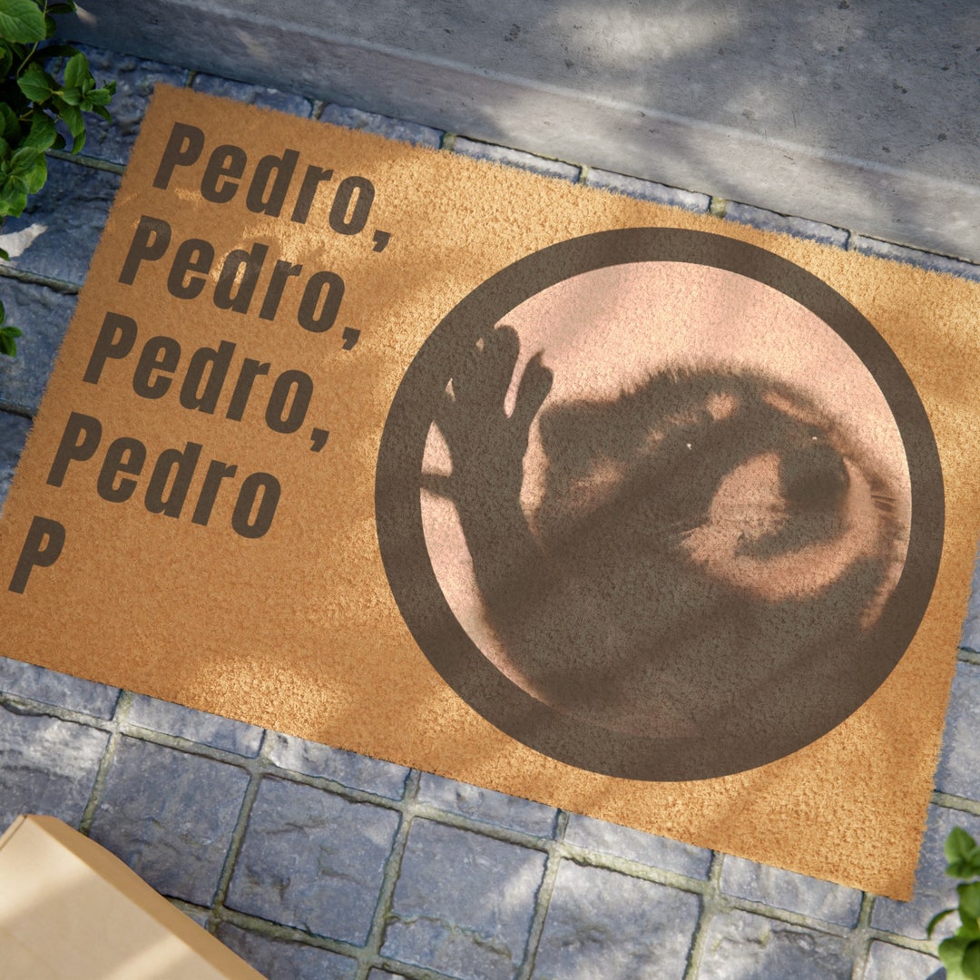 Funny Meme Doormat, Raccoon Dancing to 'pedro Pedro' in A Circle, Funny ...