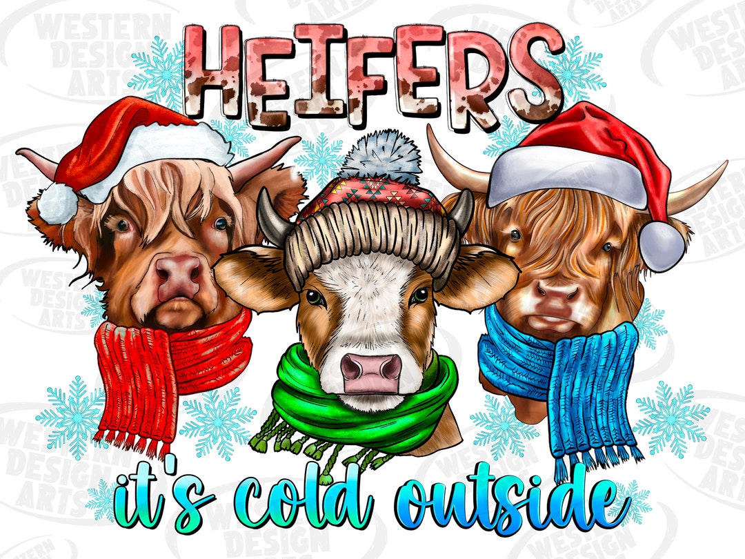 Heifers It's Cold Outside, Merry Christmas Heifers, Christmas With My ...