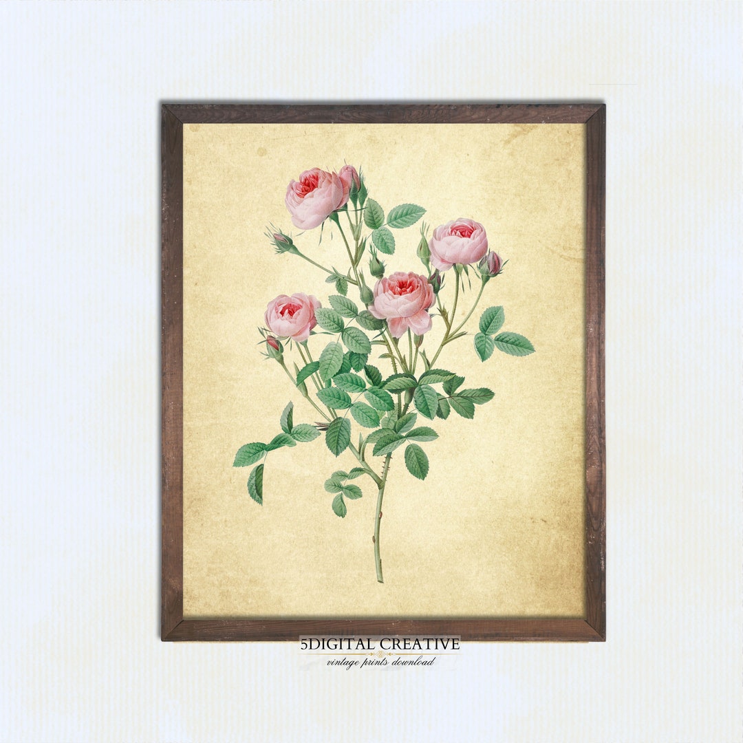 Vintage Roses Painting Vintage Botanical Print Rose Wall Art Print ...