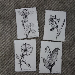 Tiny Flower Drawing, Ink Flower Drawing, Small Ink Flower Drawing - Etsy