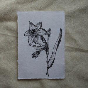 Tiny Flower Drawing, Ink Flower Drawing, Small Ink Flower Drawing - Etsy