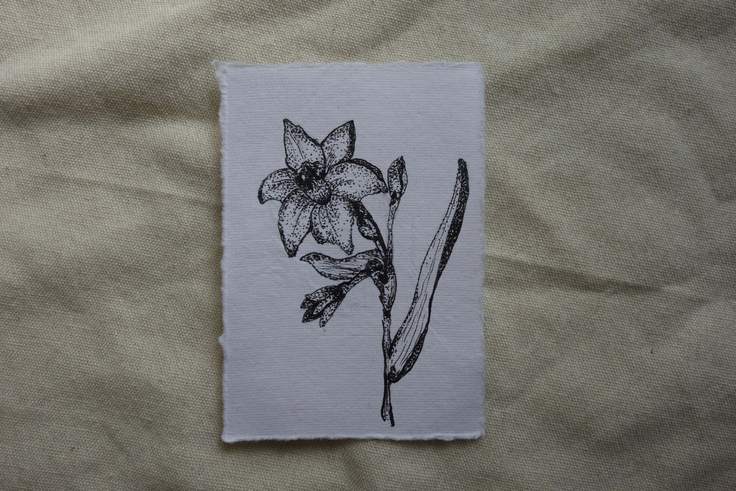 Tiny Flower Drawing, Ink Flower Drawing, Small Ink Flower Drawing - Etsy