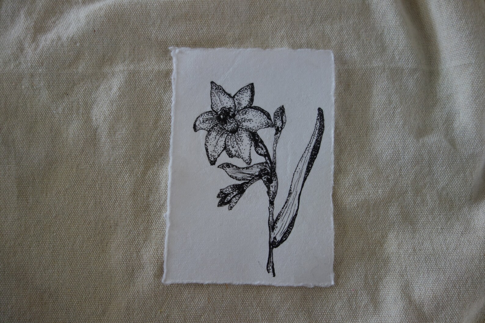 Tiny Flower Drawing, Ink Flower Drawing, Small Ink Flower Drawing - Etsy