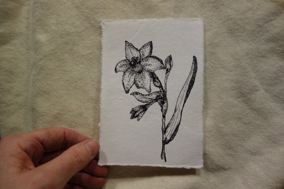 Tiny Flower Drawing, Ink Flower Drawing, Small Ink Flower Drawing - Etsy