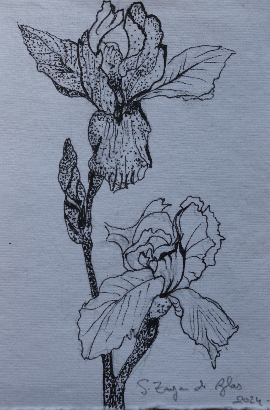 Tiny Flower Drawing, Ink Flower Drawing, Small Ink Flower Drawing - Etsy