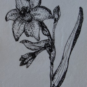 Tiny Flower Drawing, Ink Flower Drawing, Small Ink Flower Drawing - Etsy