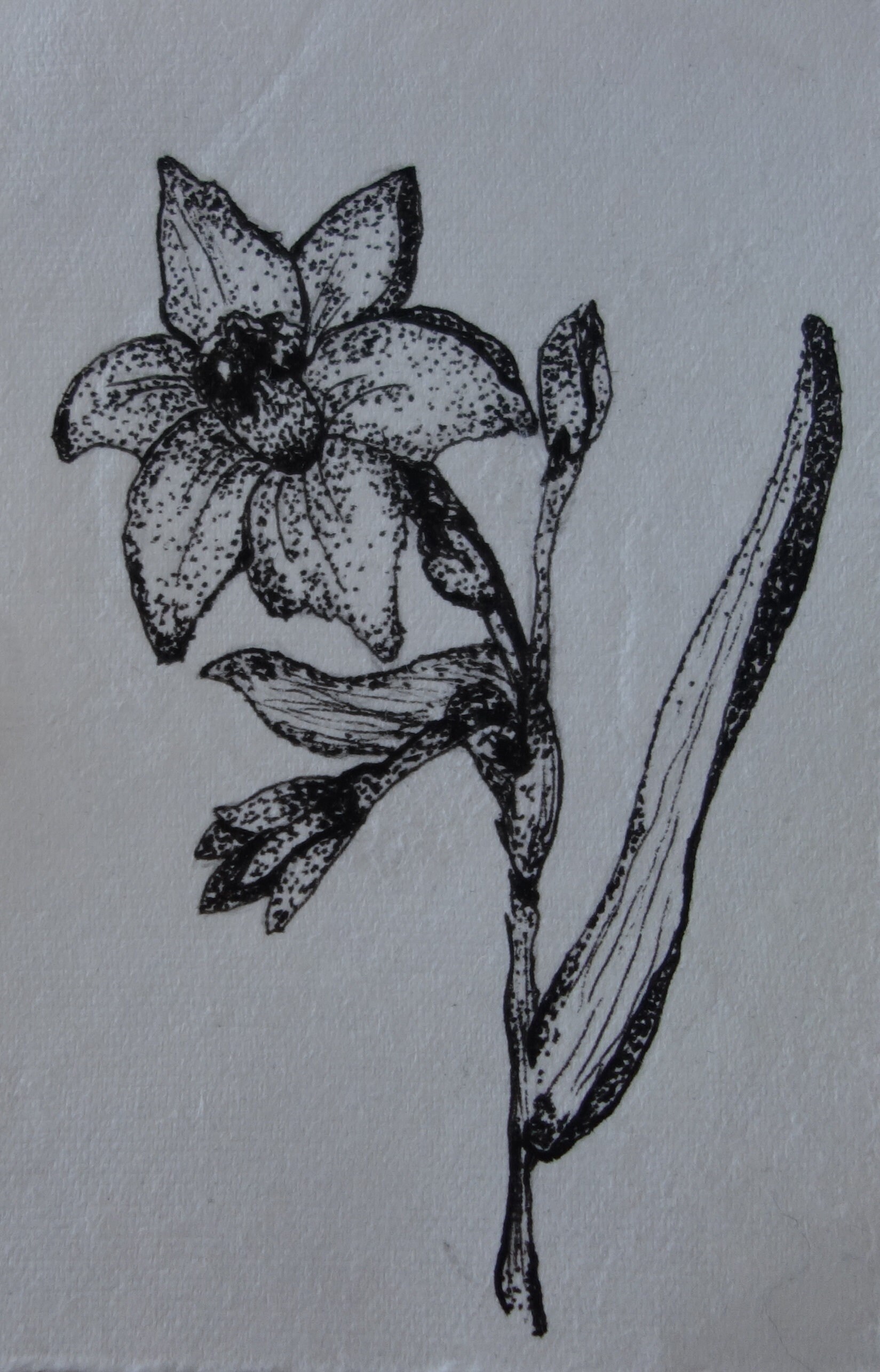 Tiny Flower Drawing, Ink Flower Drawing, Small Ink Flower Drawing - Etsy