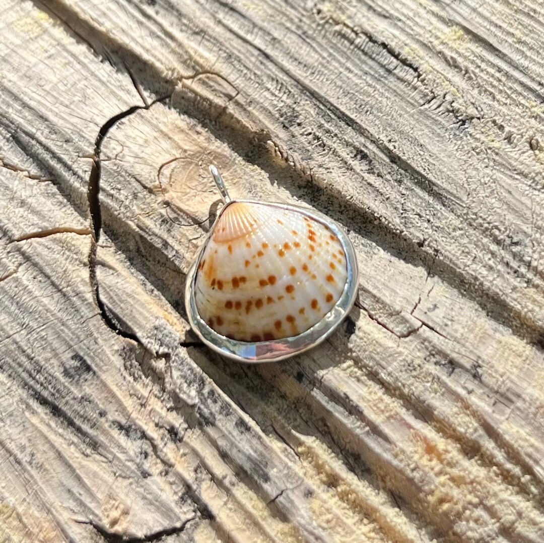 Silversmithed Bittersweet Clam Shell Sterling Silver Pendant With Brass ...