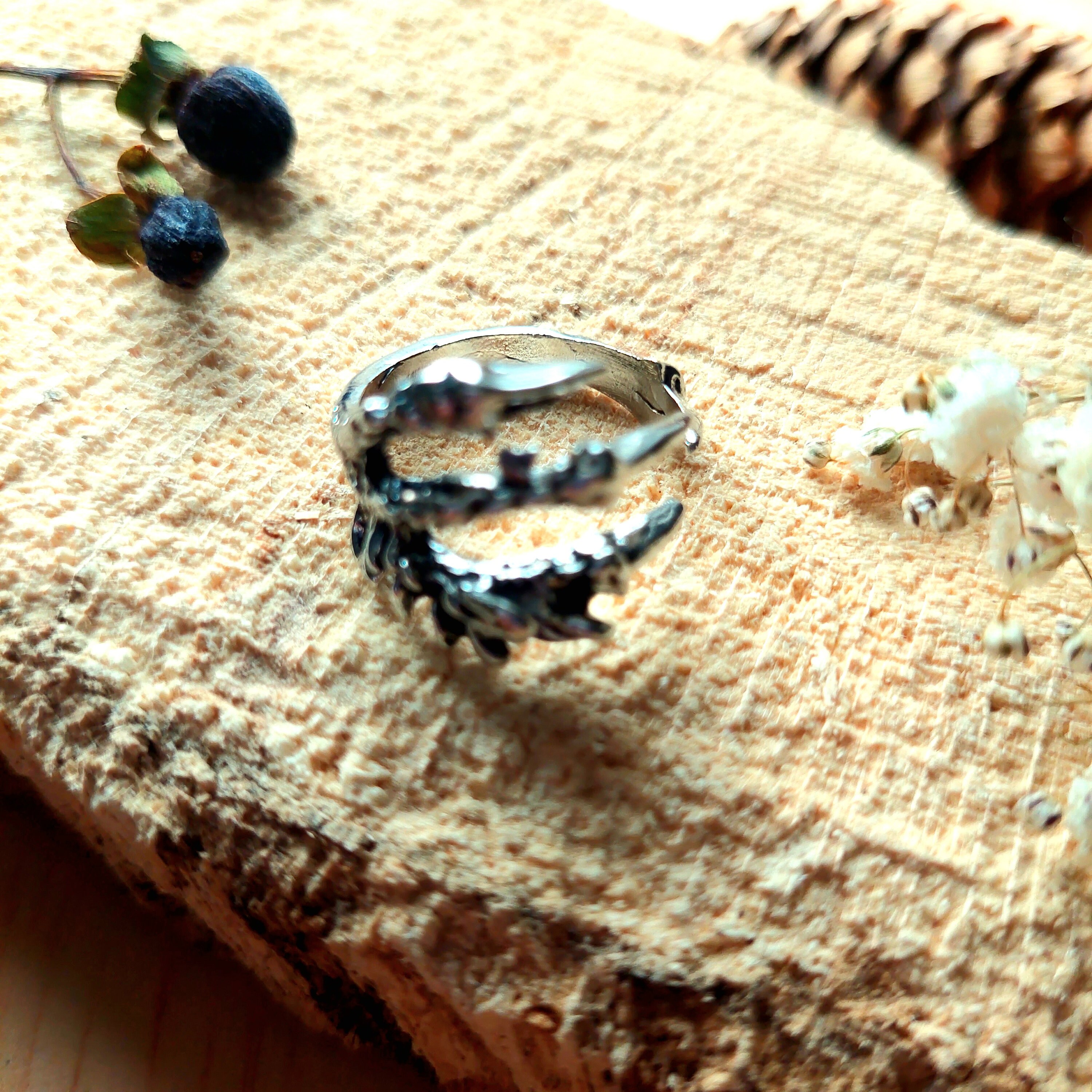 Dragon Claw Ring Goth Dragon Jewellery Titanium Steel Statement Rings ...