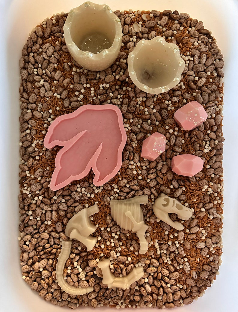 Dinosaur Fossil Bones Skeleton | Sensory Resin Loose Parts | Dinosaur ...