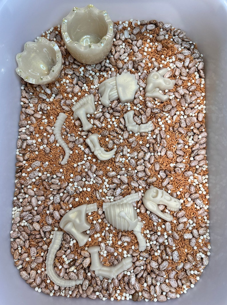 Dinosaur Fossil Bones Skeleton | Sensory Resin Loose Parts | Dinosaur ...