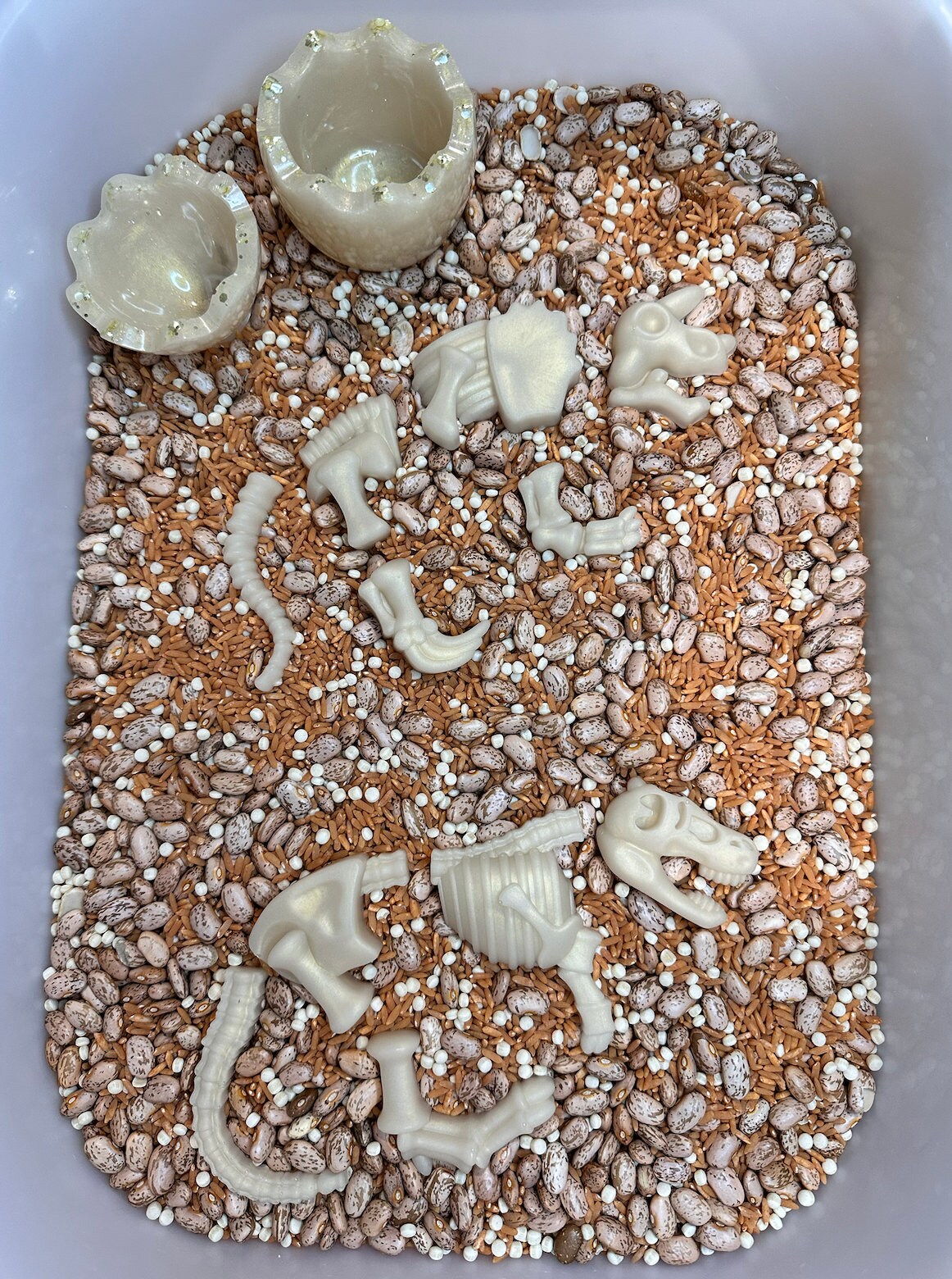 Dinosaur Fossil Bones Skeleton | Sensory Resin Loose Parts | Dinosaur ...