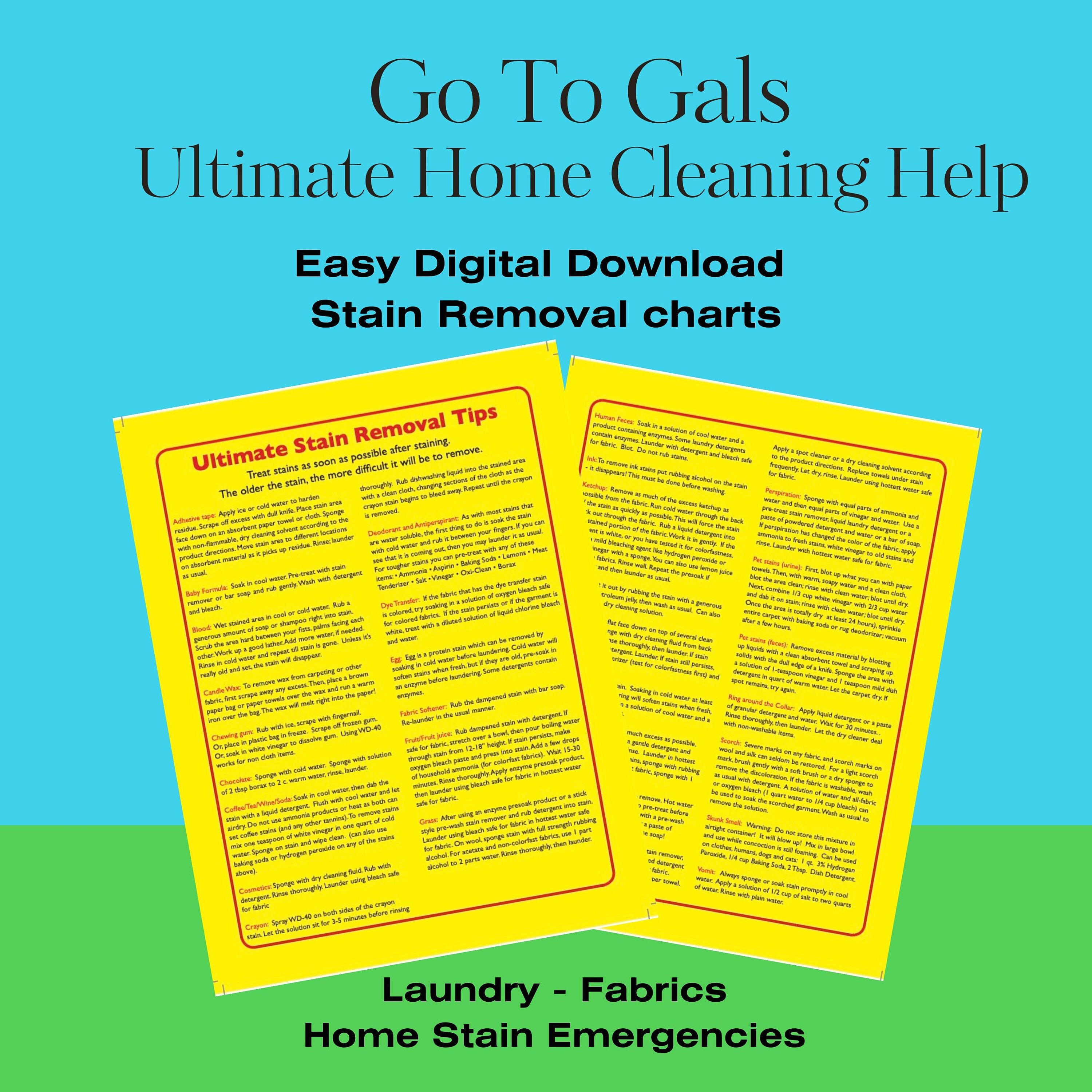 Go to Gals Stain Removal Charts. Easy Digital Download. Best Tips and ...