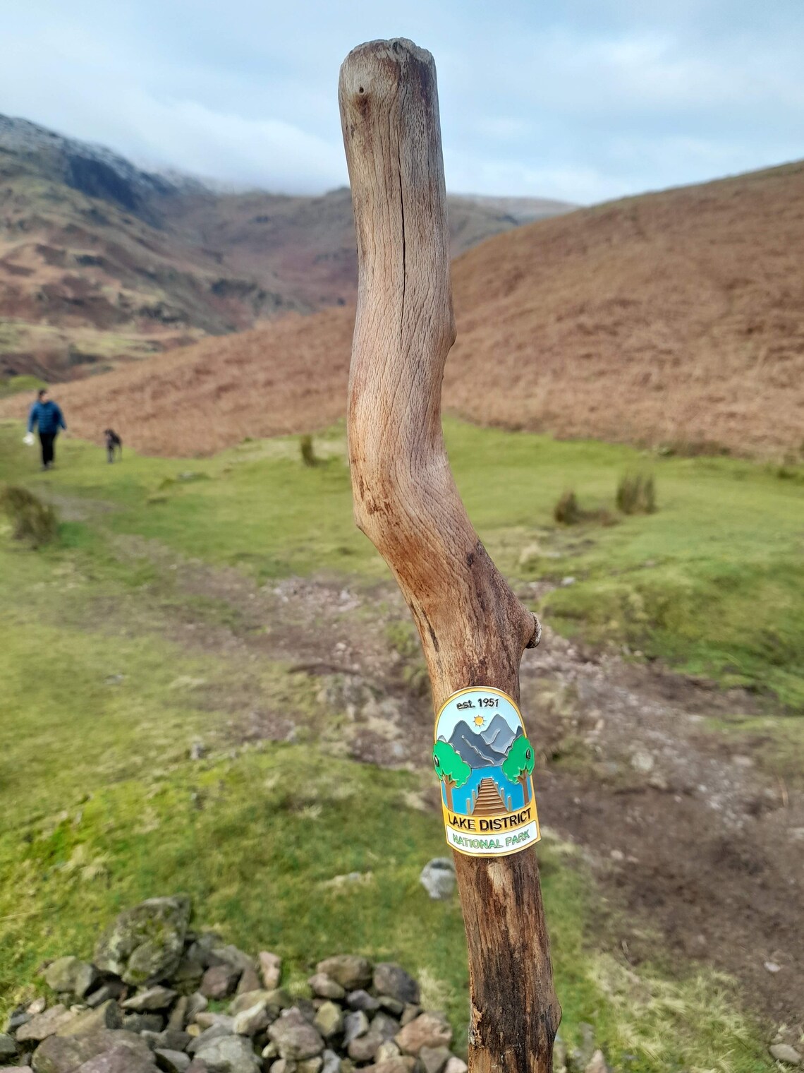 Lake District Walking Stick Badge/pin - Etsy