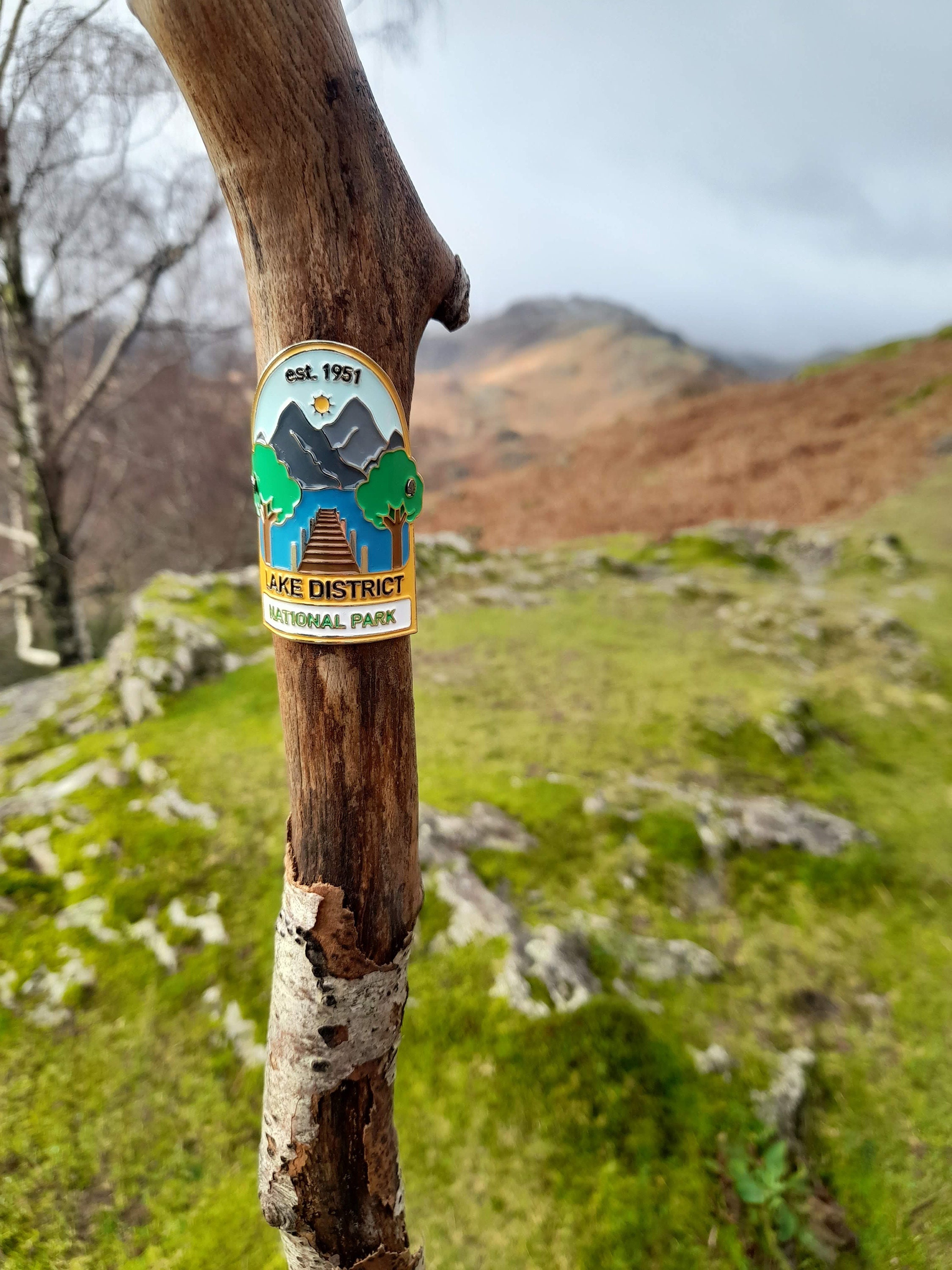 Lake District Walking Stick Badge/pin - Etsy