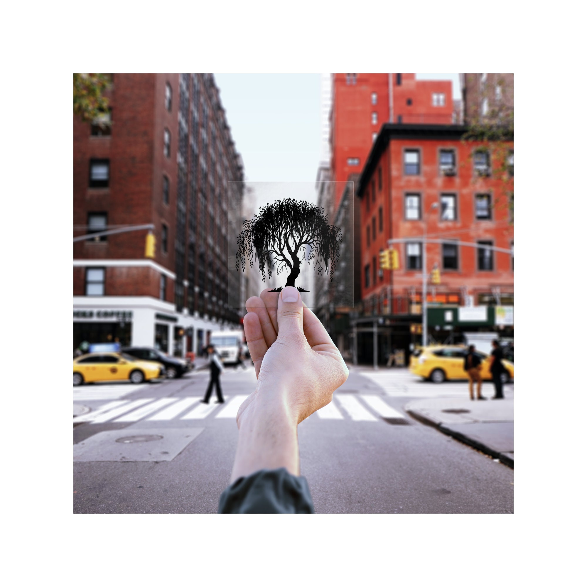 Willow Tree Sticker, Tree Decal, Nature Sticker, Laptop Sticker, Willow ...