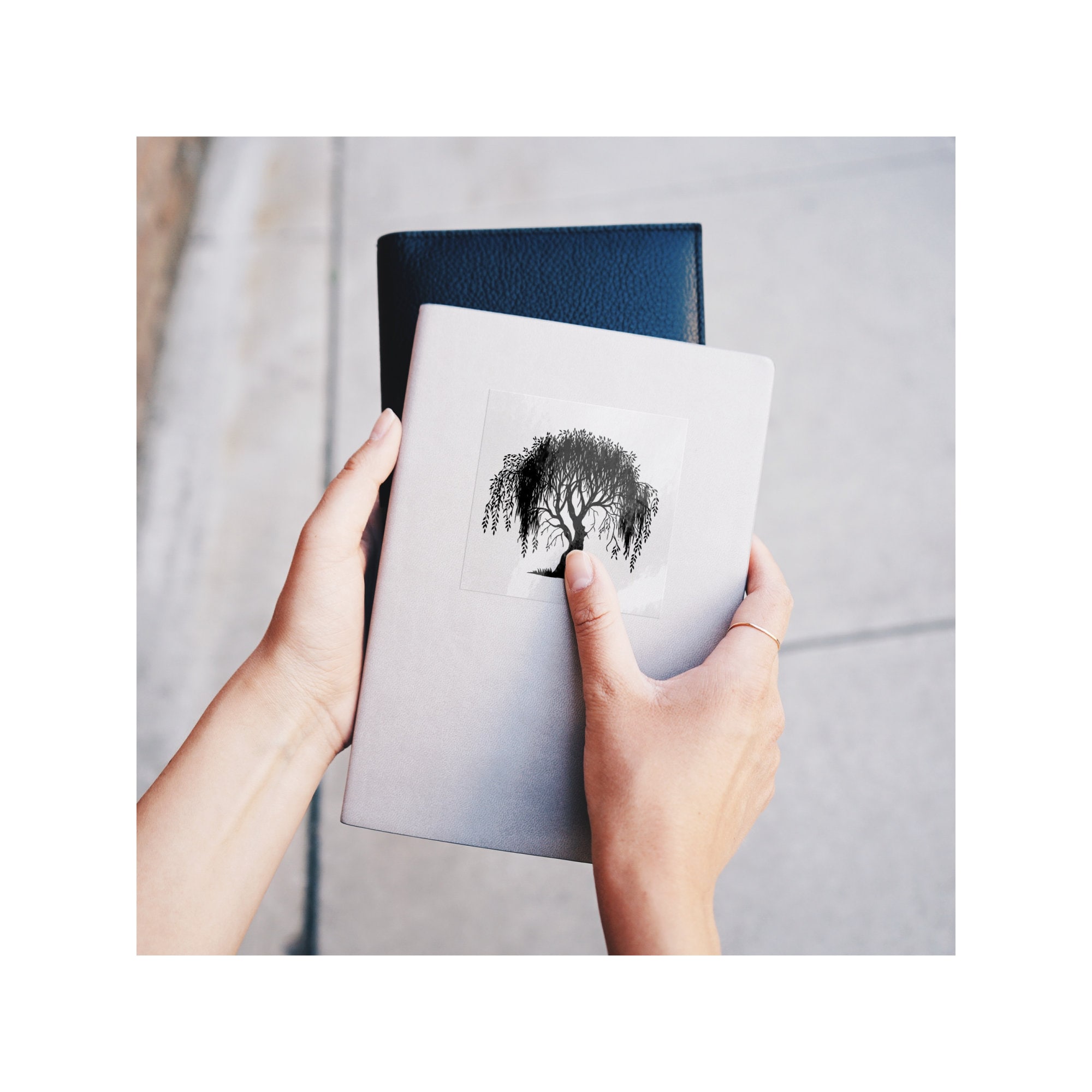 Willow Tree Sticker, Tree Decal, Nature Sticker, Laptop Sticker, Willow ...