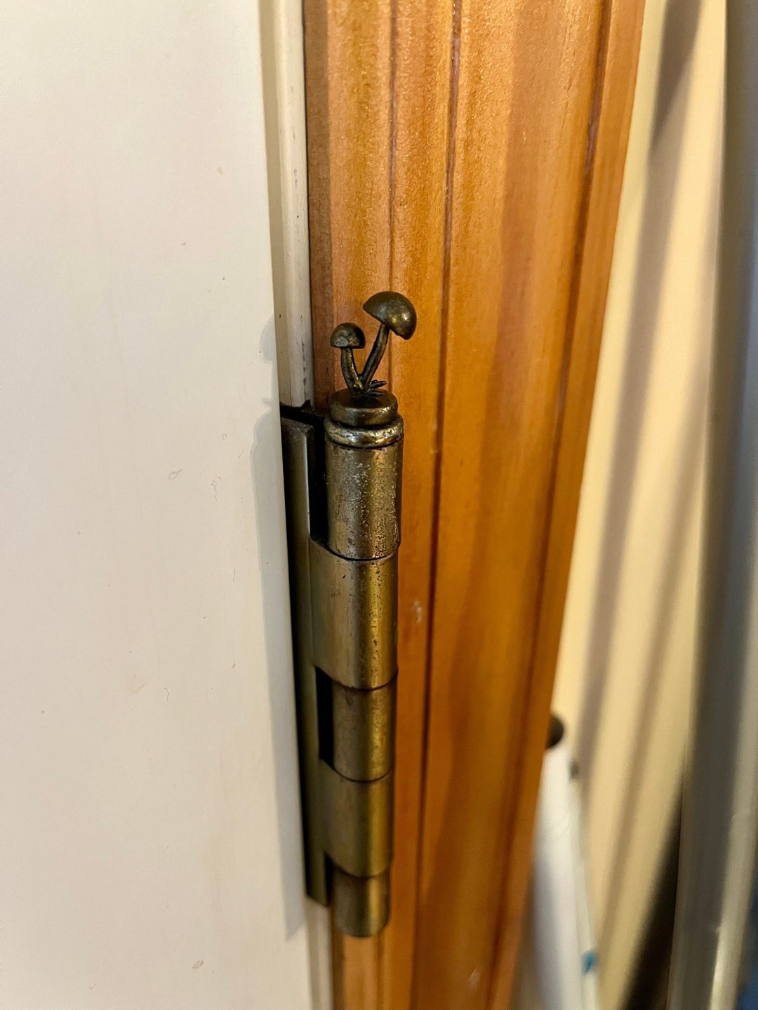 Hinge Head Mushroom 3 per Set - Etsy