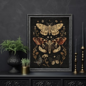 Rustic Botanical Moths | Dark Academia, Moody Floral Print, Dark ...