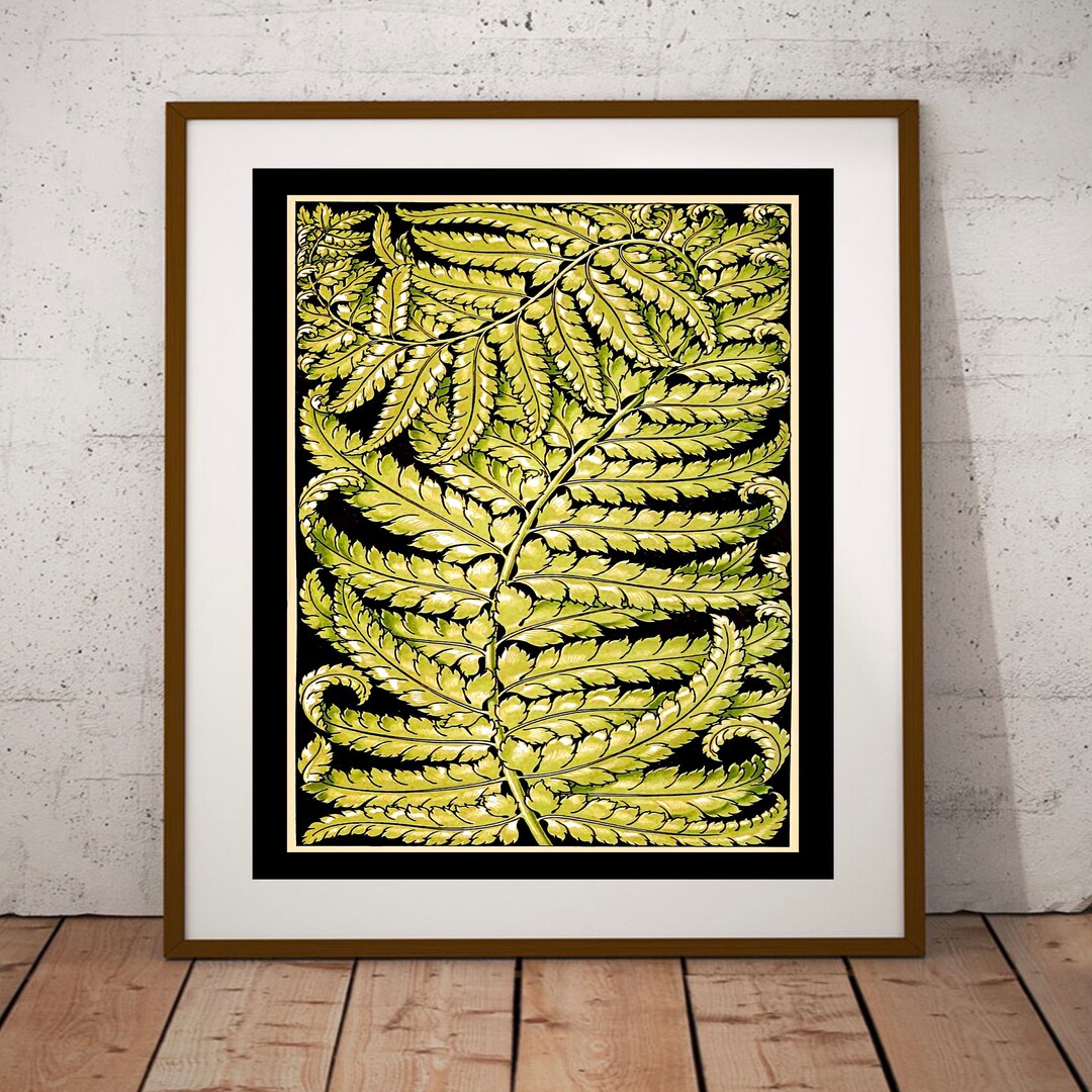 Botanical Fern Poster, “the Plant in Art” by Anton Seder, Austria ...