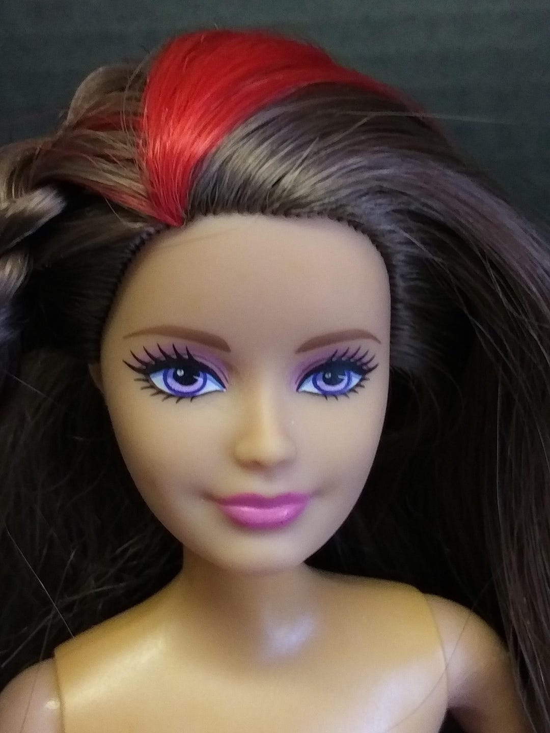 2011 Christmas Skipper Doll, Brunette With Red Streak - Etsy