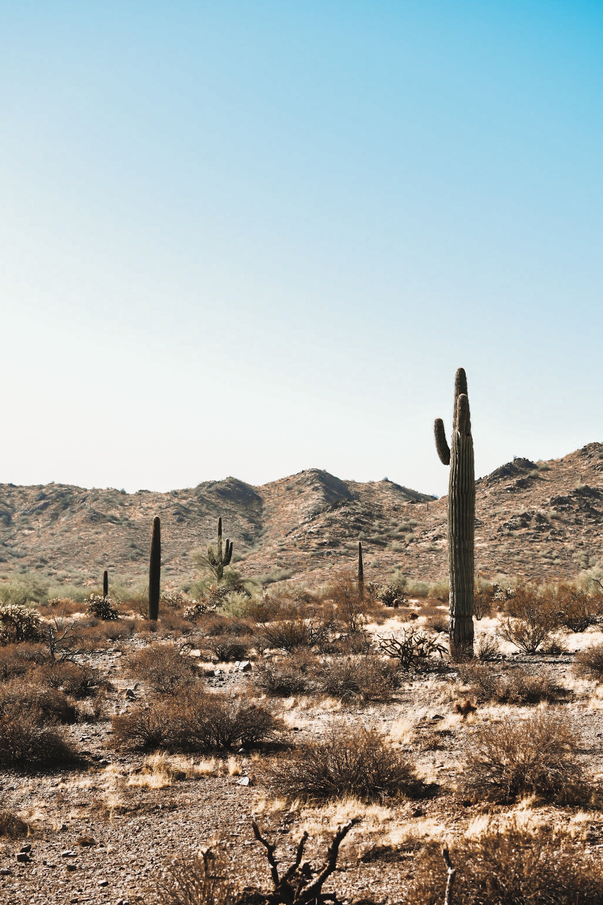 Arizona Landscape, Mountains, Wall Art, Cactus, Living Room , Office ...